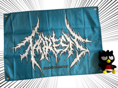 Forests Deathcore 'Is This Band Emo?' Turqoise Flag (60 x 90 cm) | Forests