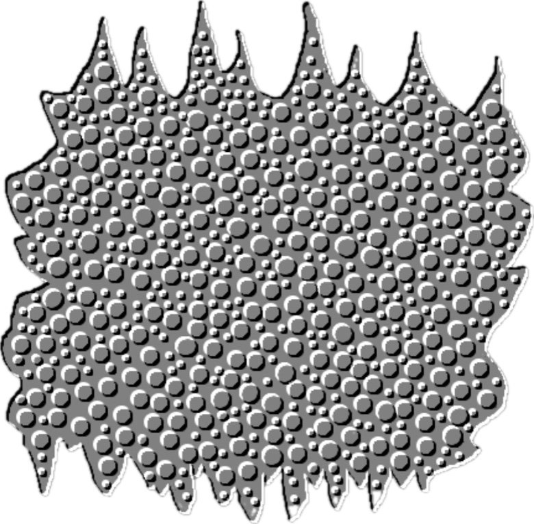 (Catarro) Process of a cannibal recipe | Catarro, Puruloid | Catarro