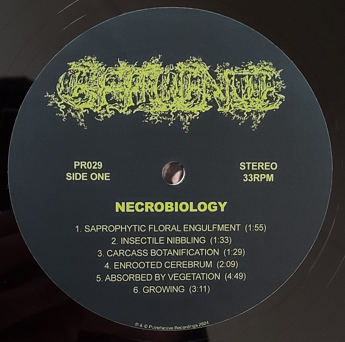 Necrobiology | Effluence