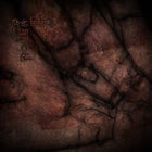 The Procession | Lycopolis