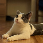 Census Designated | Jane Remover