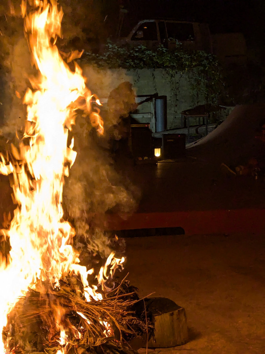 Live at Feralux Farm | SHIN