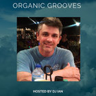 Damp Chill of Life | NONE | Hypnotic Dirge Records