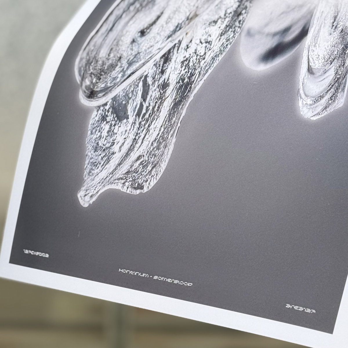 Somersloop | Kontinum | area127