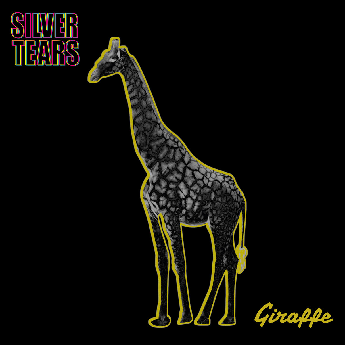 Giraffe | Silver Tears