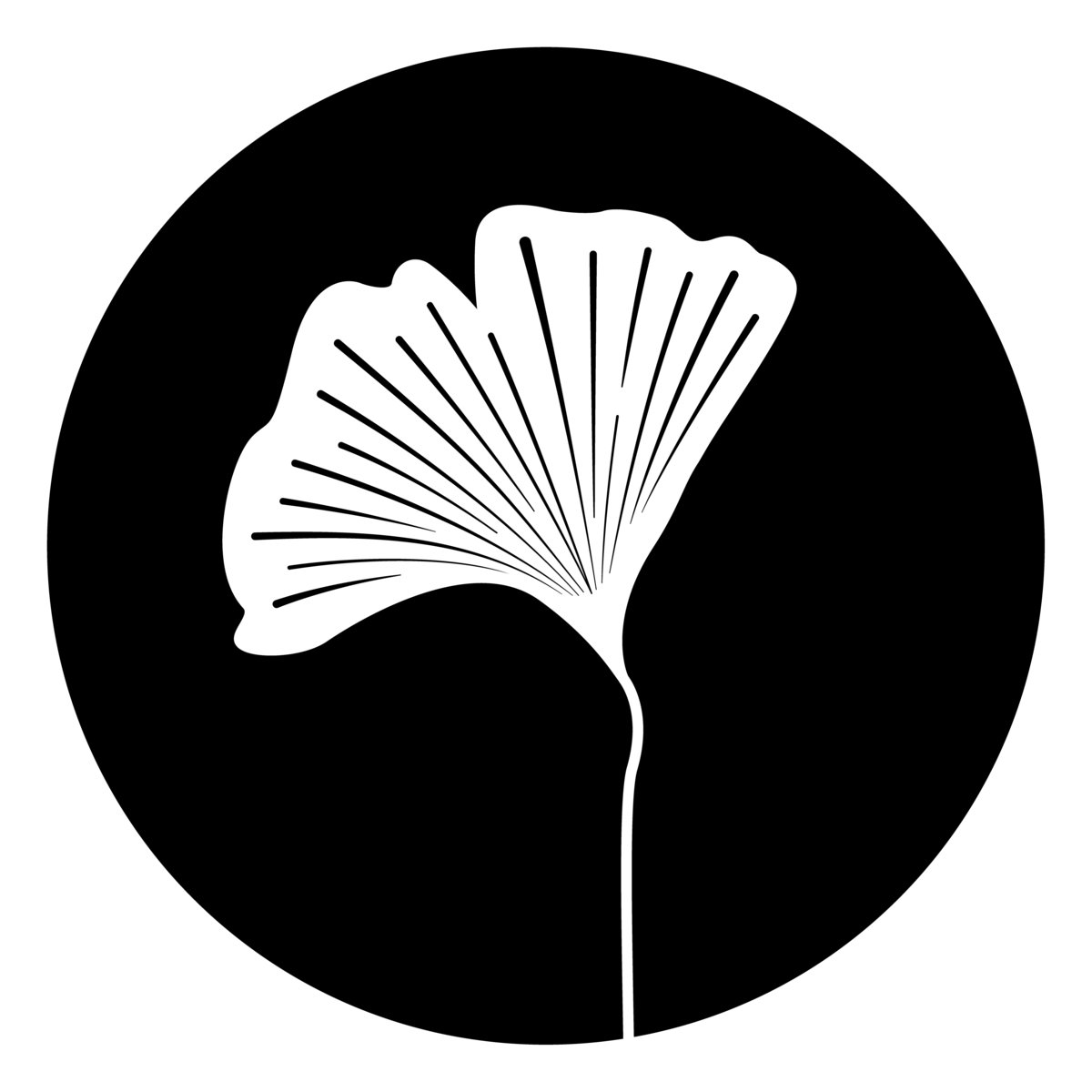 Edgar Aguirre - Tu Papa | Edgar Aguirre | Redolent Music