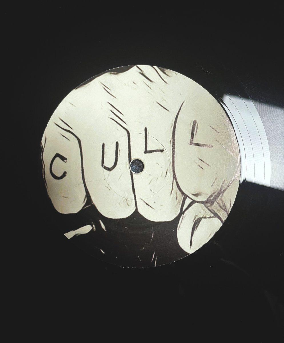 PUNK TRAUMATIC STRESS DISORDER | Cull the Band