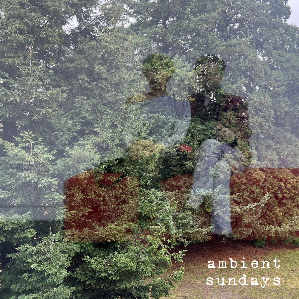 ambient sundays | Ambient Sundays