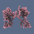 Wreath Of Bleeding Snowfall | Kommodus