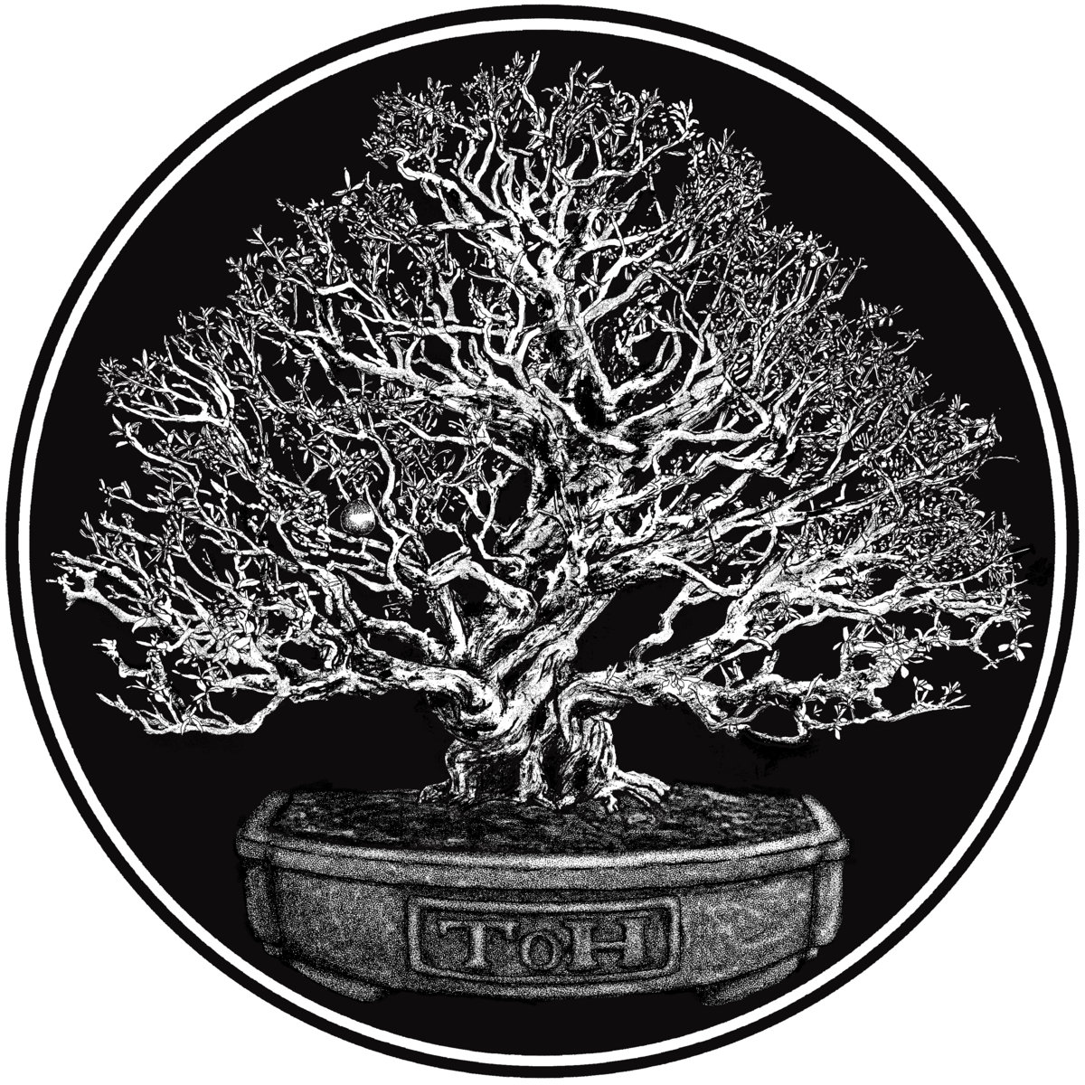 WNC Relief Comp | Tree of Heaven Recordings