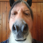 Robot Stop | King Gizzard & The Lizard Wizard