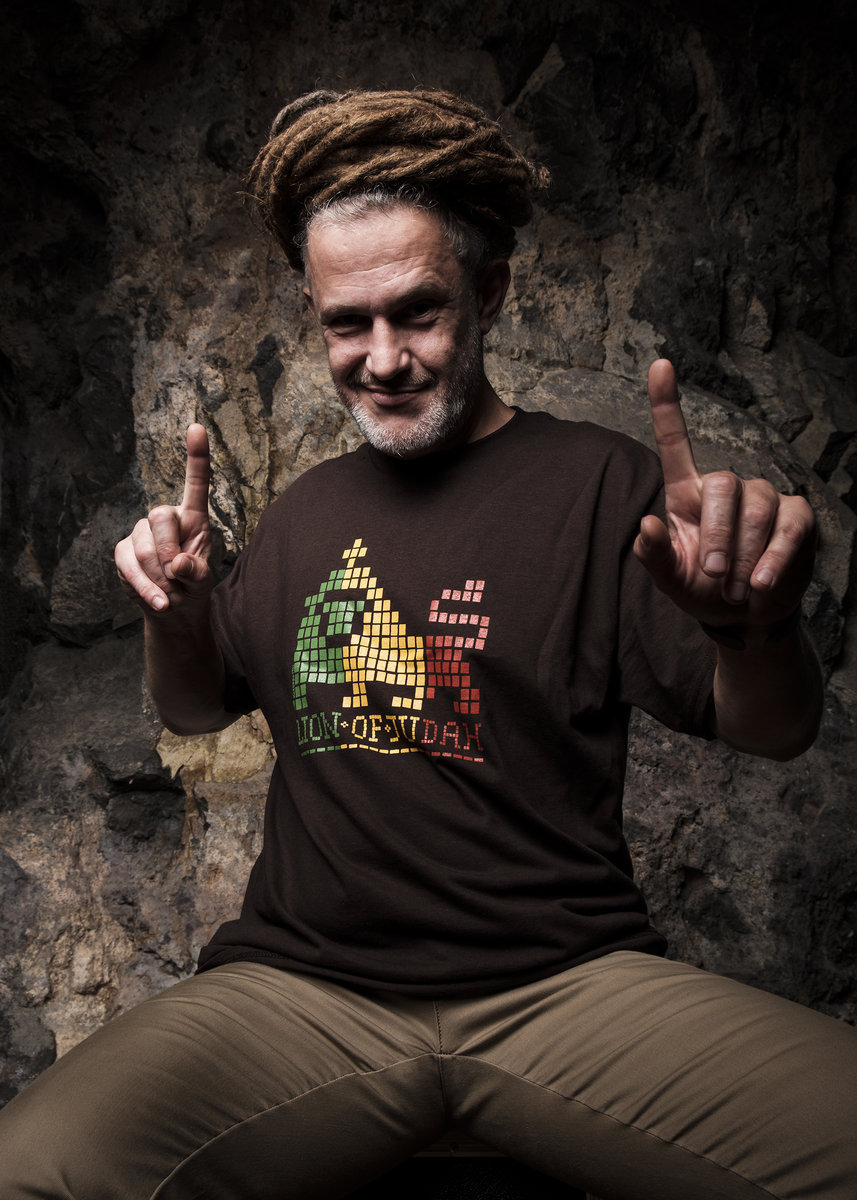 Lion Of Judah Pixel by Ras Bass | Ras Bass Records