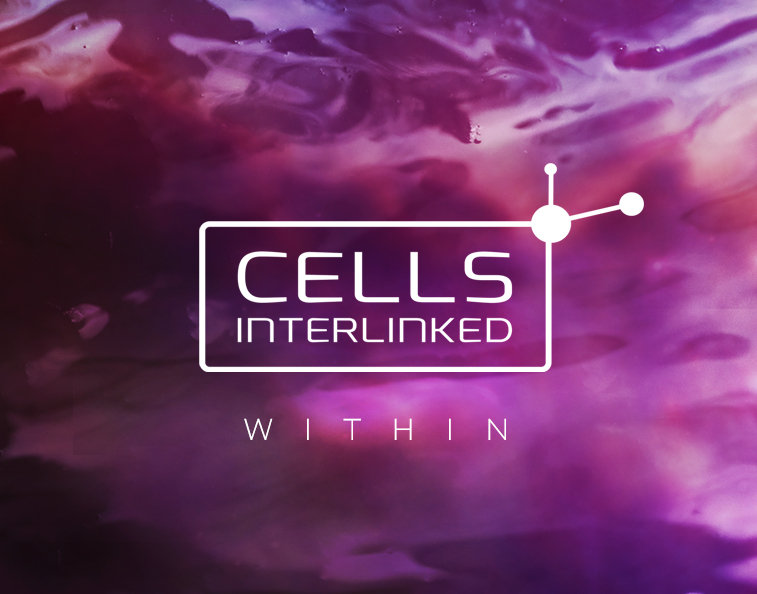 Liminal Live-Sessions 2025 (EP) | Cells Interlinked