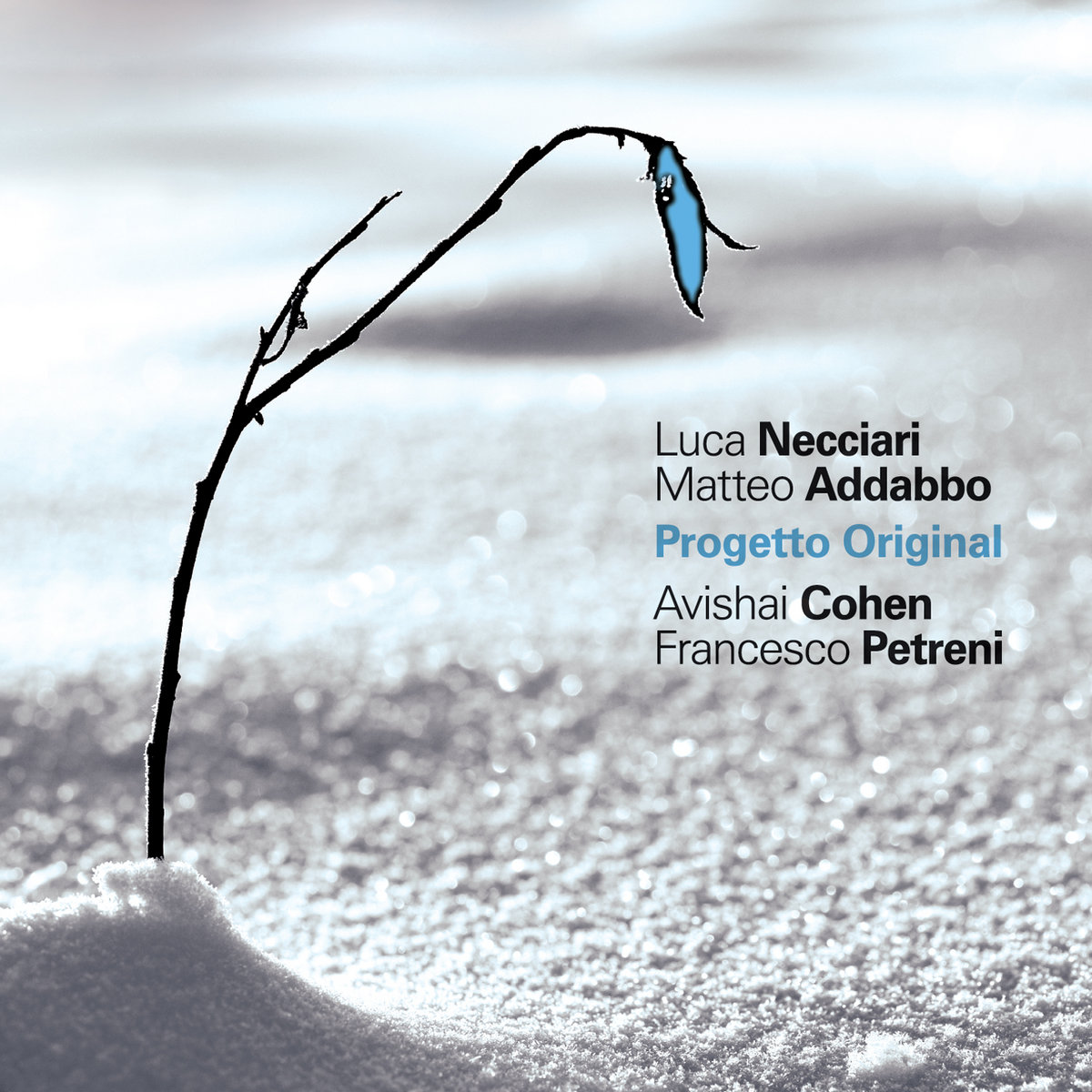 Progetto Original | Avishay Cohen, Matteo Addabbo, Luca Necciari ...