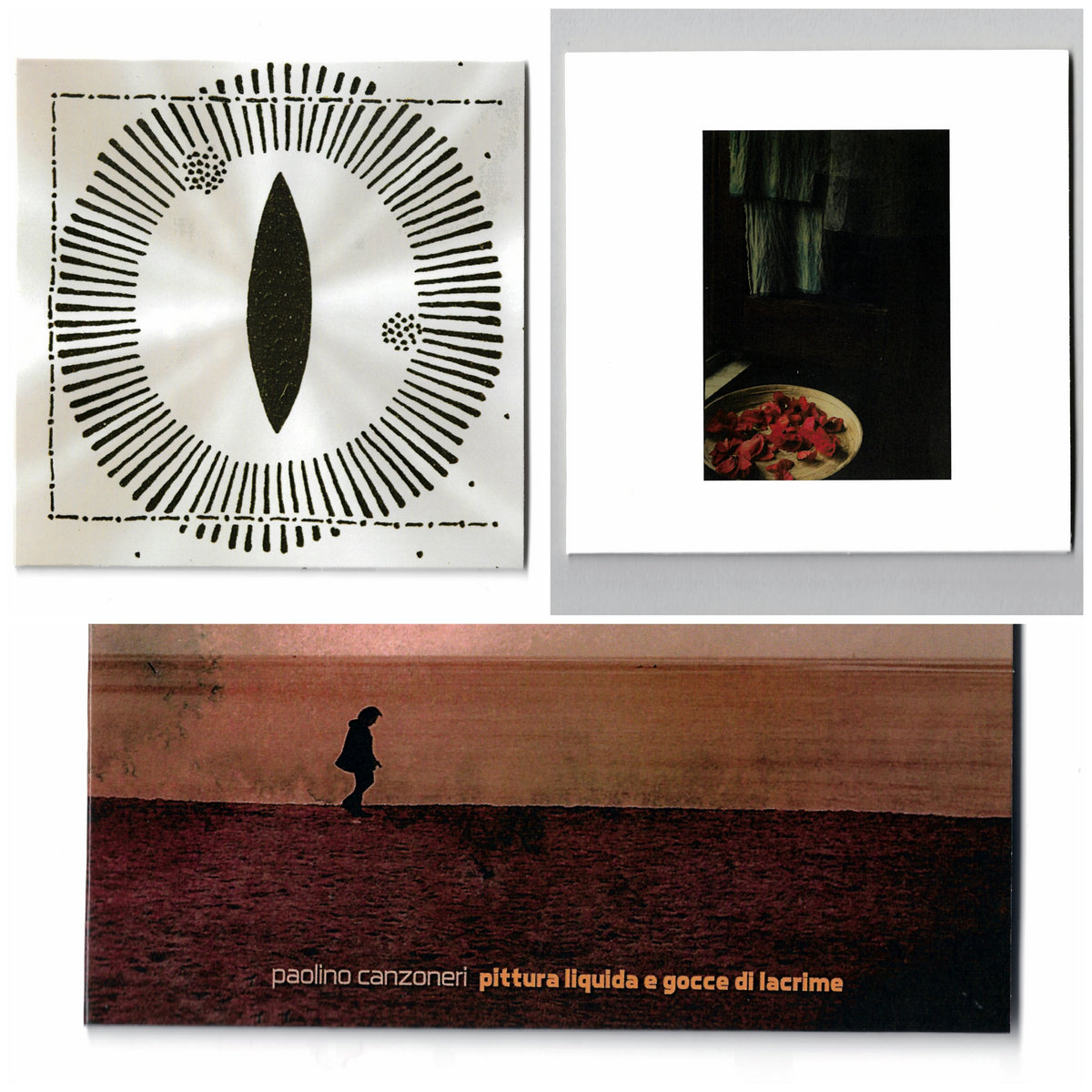 Introduction to Somnambulism | Julia E. Dyck | Julia E Dyck