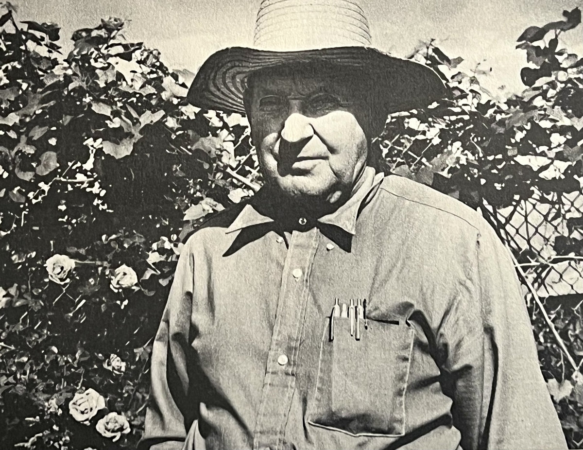 Cowboy Sutra | Hal Cannon