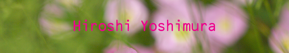 Surround | Hiroshi Yoshimura