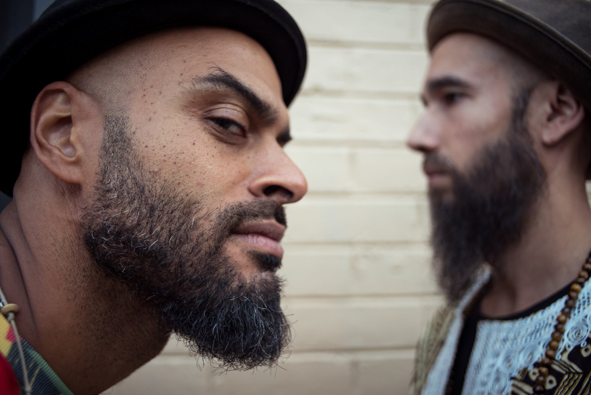 A LION IS A LION | Cool Out Sun