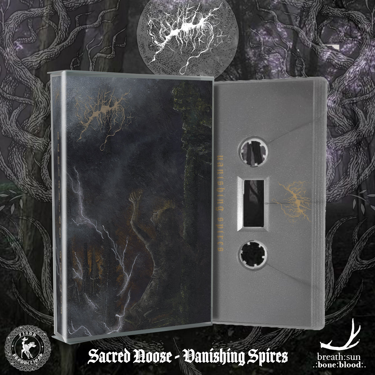 Vanishing Spires | Sacred Noose | Fiadh Productions