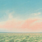 say what you like | fuvk