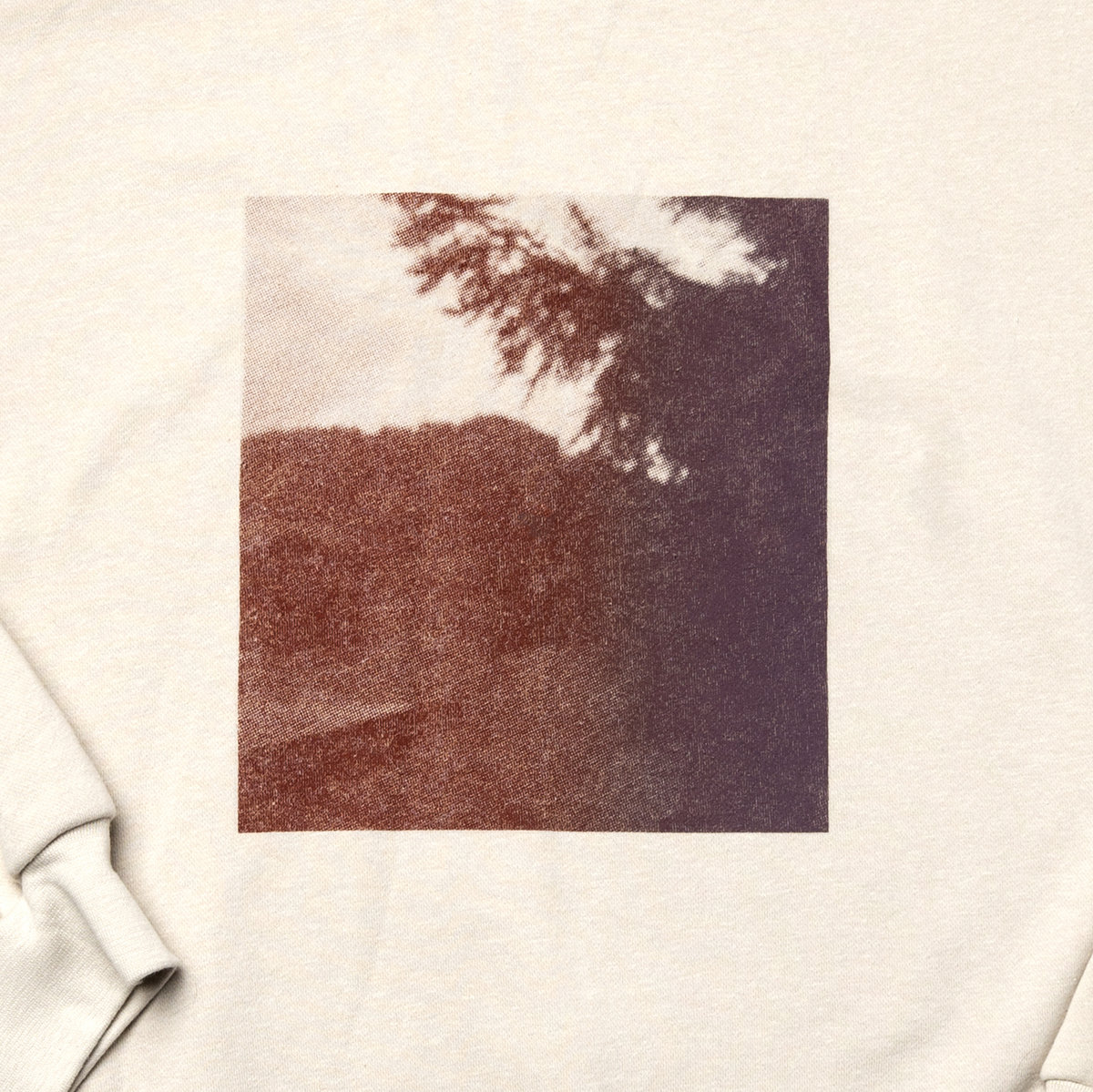 Mossed Capable Of Being Observant | Angel R | enmossed