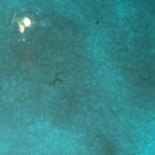 Marble Hunting | Tipper