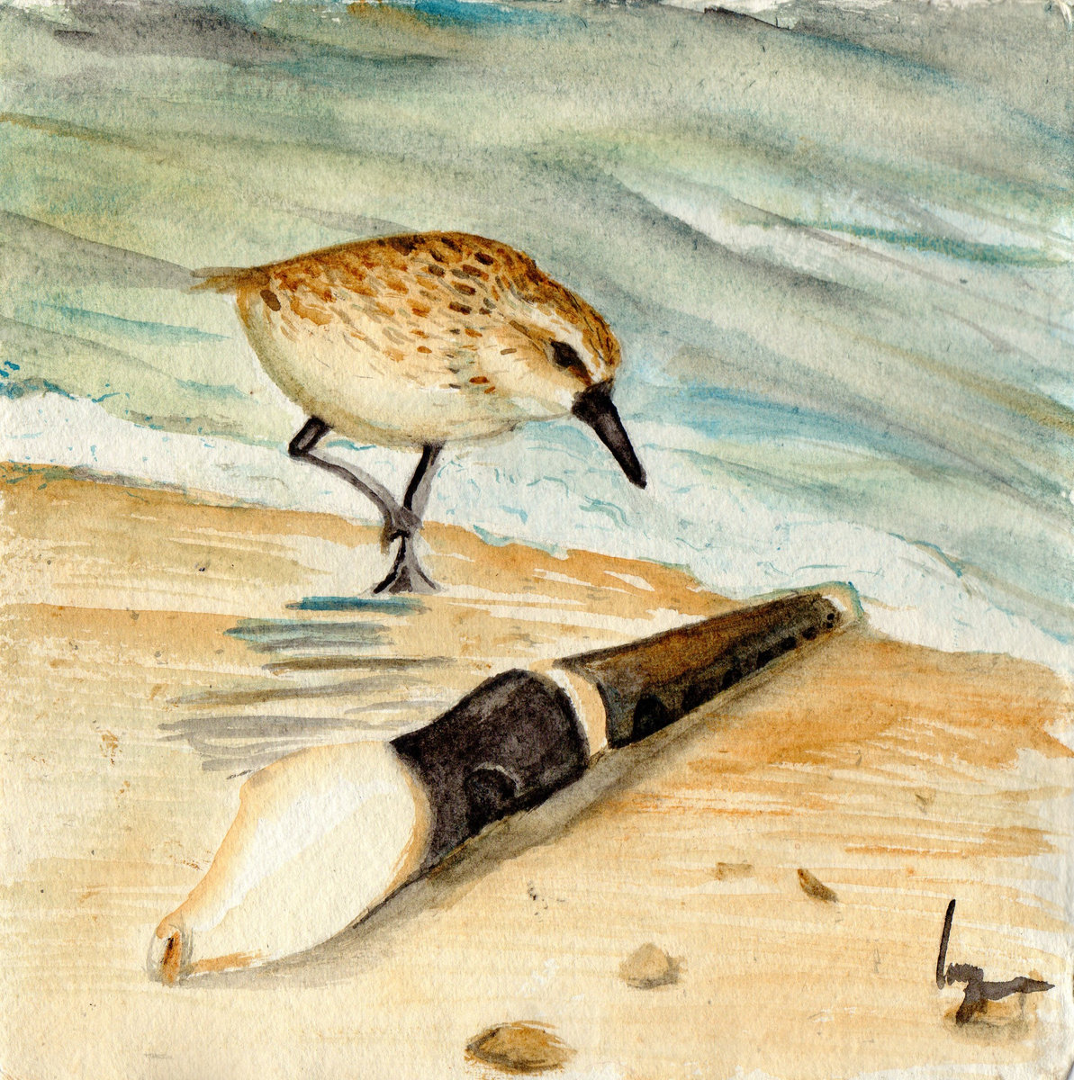 Winter Songs Vol. I | The Sandpipers