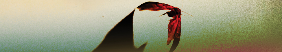 Are We All Angels | Scowl