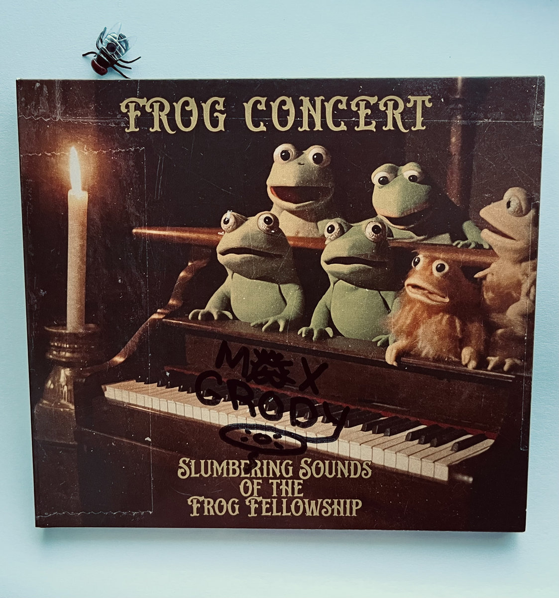 Slumbering Sounds of the Frog Fellowship | Frog Concert