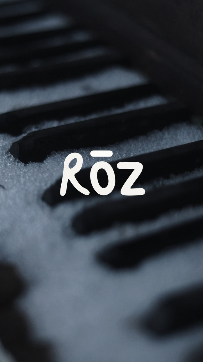 Le début | ROZ