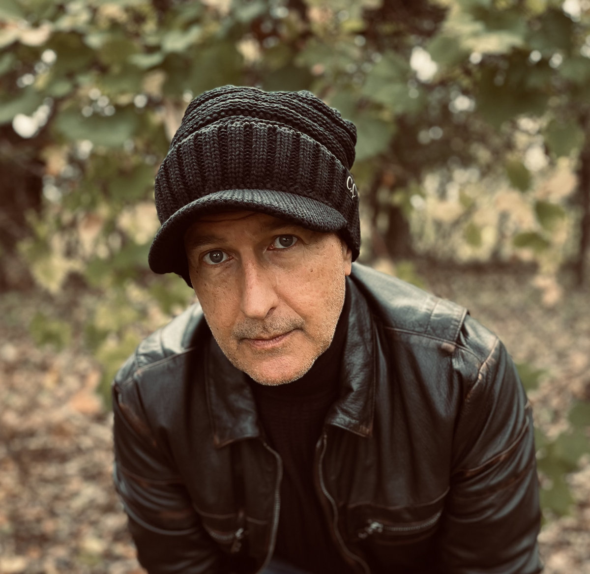 Spiders & The Sun | Dave Lisko