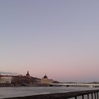 melanchole | salvia palth