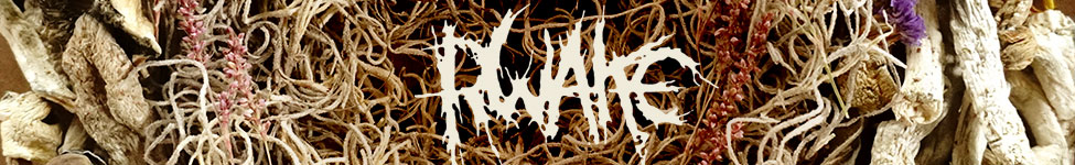 The Return Of Magik | Rwake