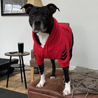 Beautiful Blood | Daniel Menche