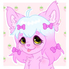 GOODNIGHT HYPNOPOMP | STOMACH BOOK