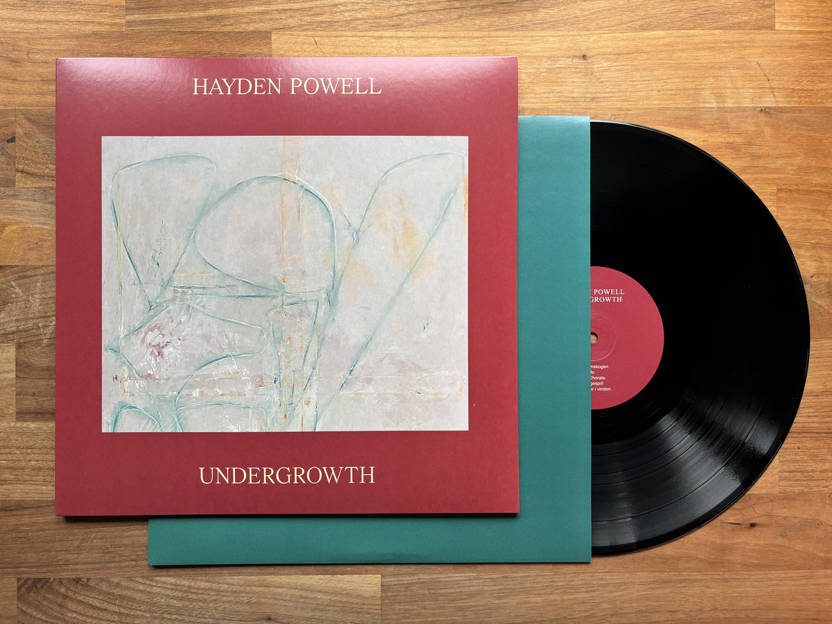 Undergrowth | Hayden Powell