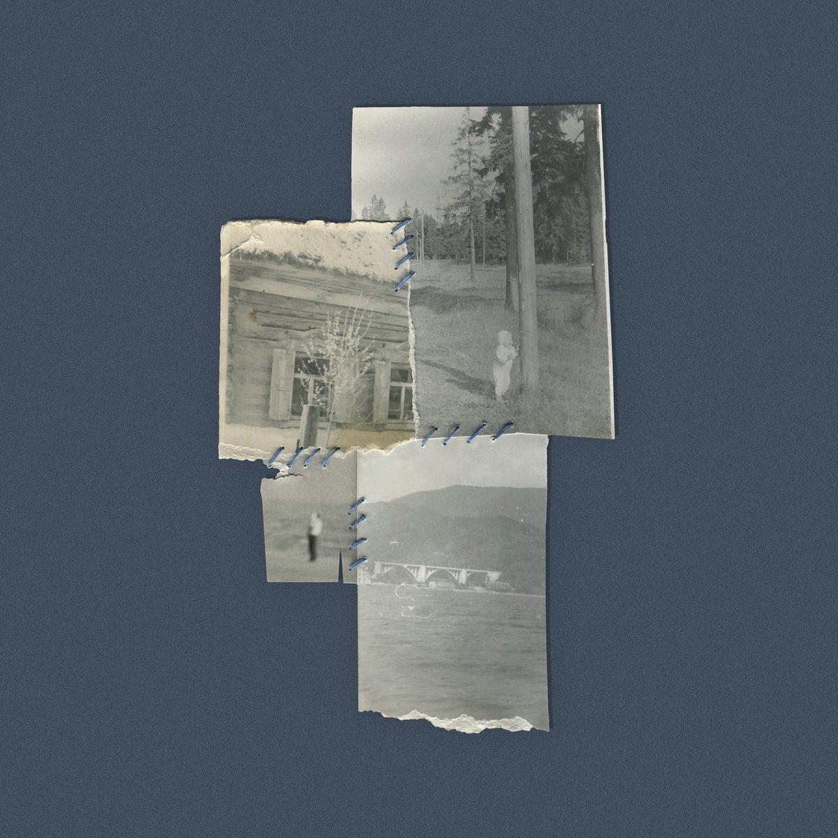 a four part cure | jason calhoun + foresteppe | Florabelle