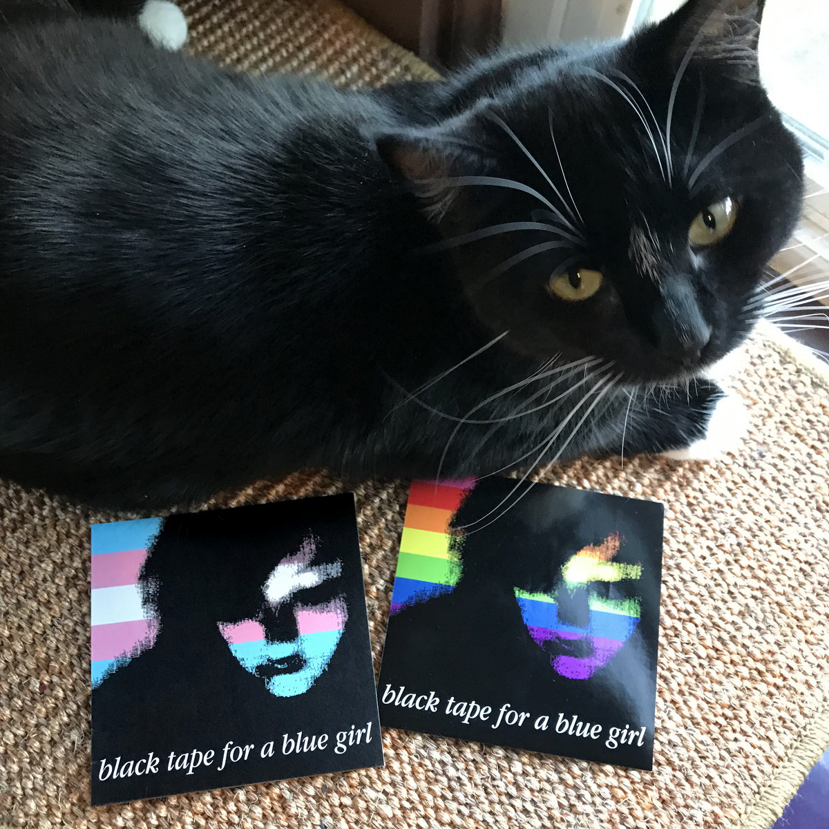 Pride & Trans Pride Stickers | Black Tape For A Blue Girl