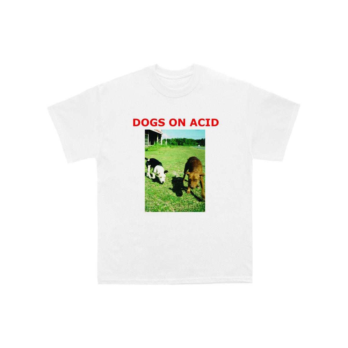 Dogs On Acid | Dogs On Acid