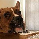 Defying Gravity | Jon Mess | Jonmess