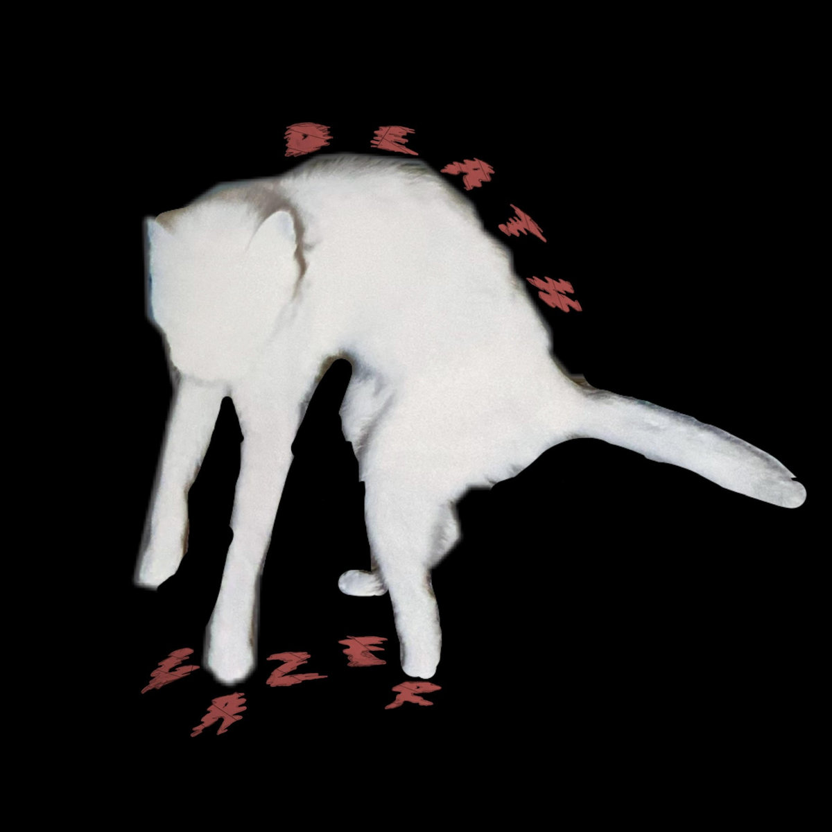 Death Gazer | Death Gazer