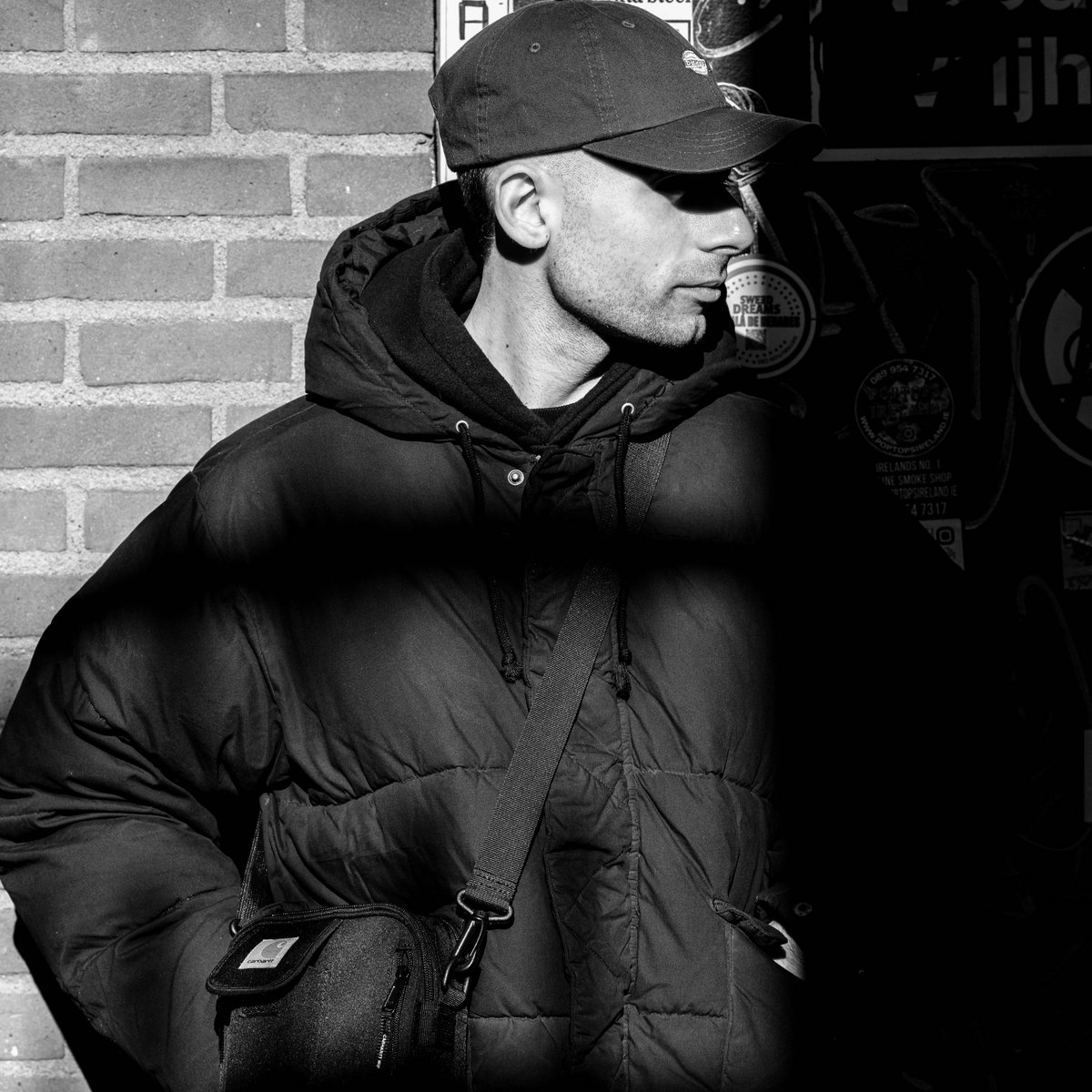 LLFD001 | Louis Ladder