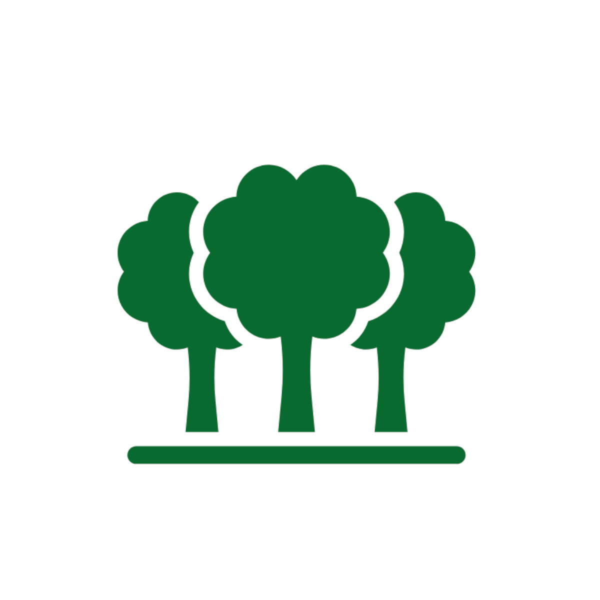 Autumn Watch | Forests of England