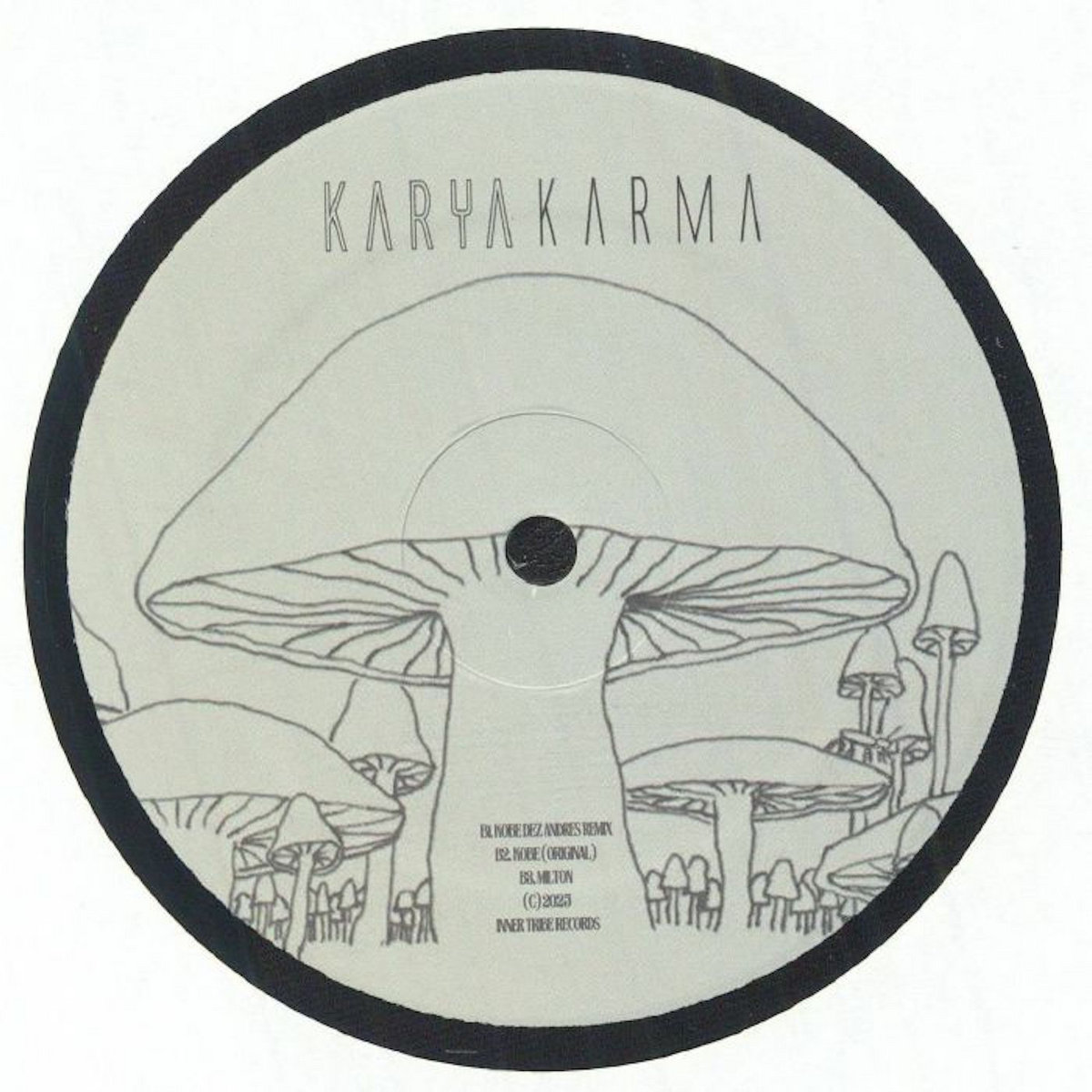 Karma (Vinyl Version) | Karya | Inner Tribe Records