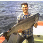 Roulette | Alfa Mist