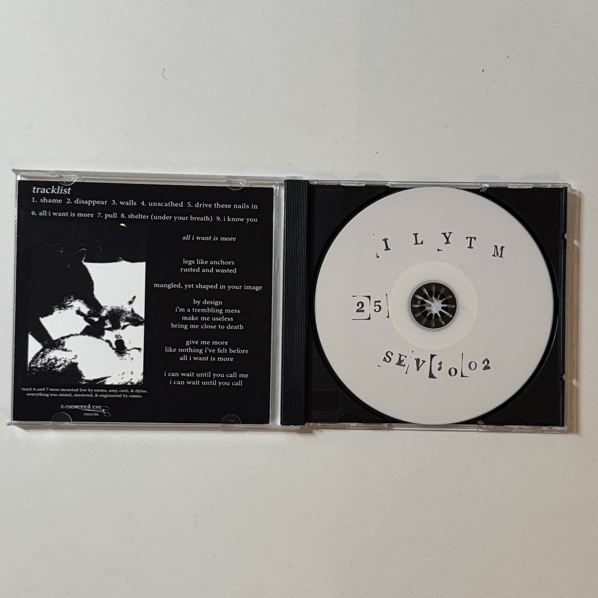 all i want is more (discography 2025) | i love you this much | SEVERED ...