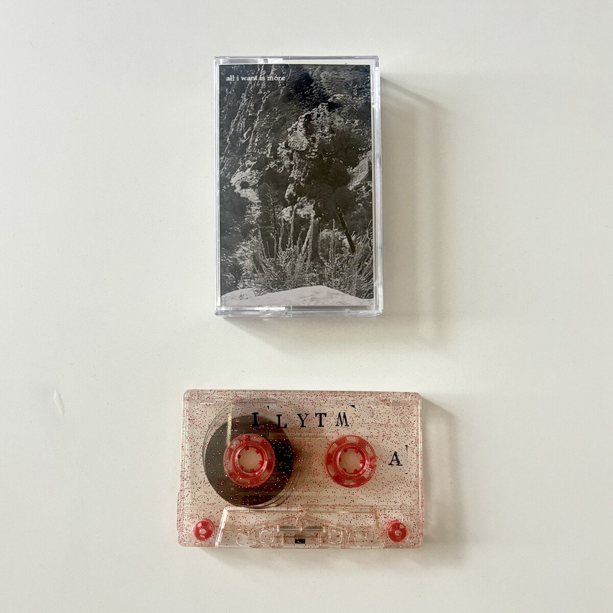 all i want is more (discography 2025) | i love you this much | SEVERED ...