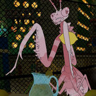 Frailty | Jane Remover