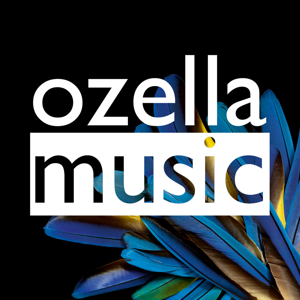 A Swing Of Its Own | Hilde Louise Asbjørnsen & Kaba Orchestra | Ozella ...