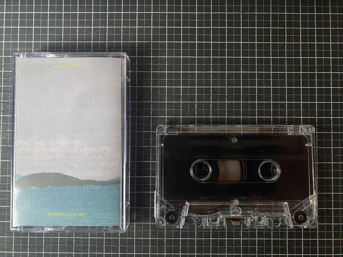 Barracuda Inc. | Saraswati | Econore